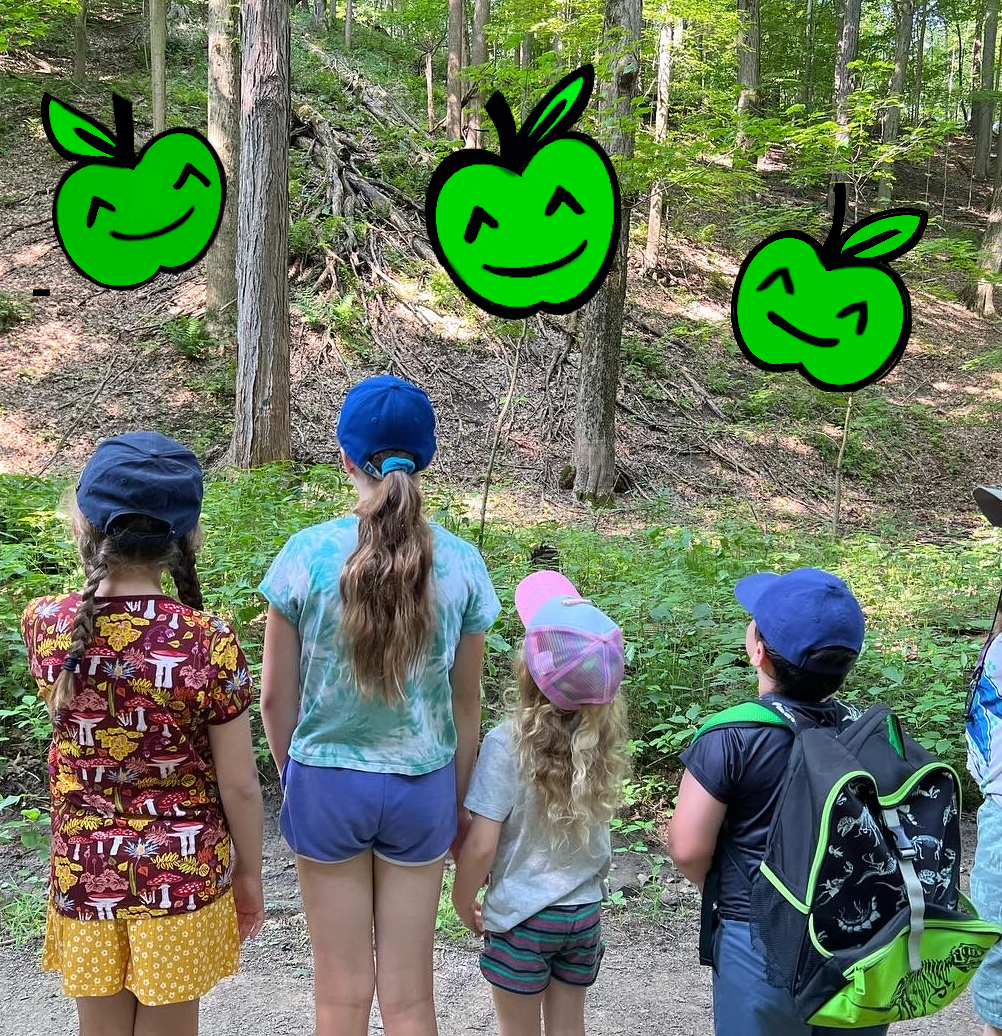 Nature Camp for Kids - Hamilton - The Little Apples